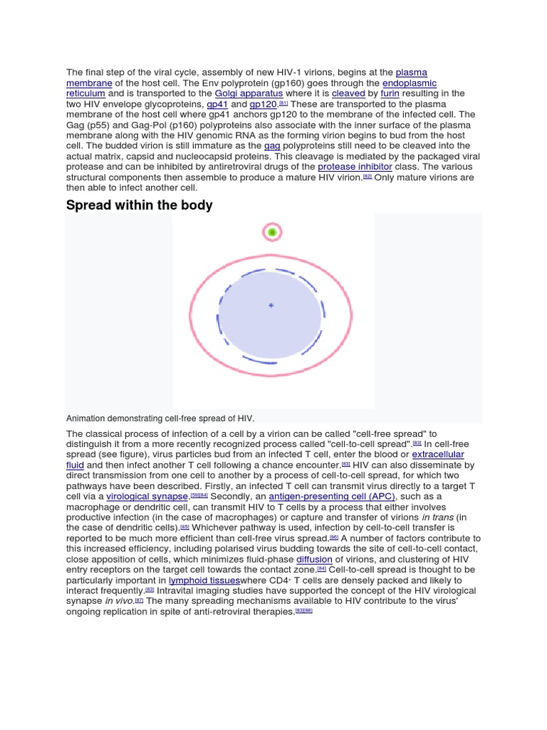 HIV Assembly and Release | PDF | Hiv | Microorganism