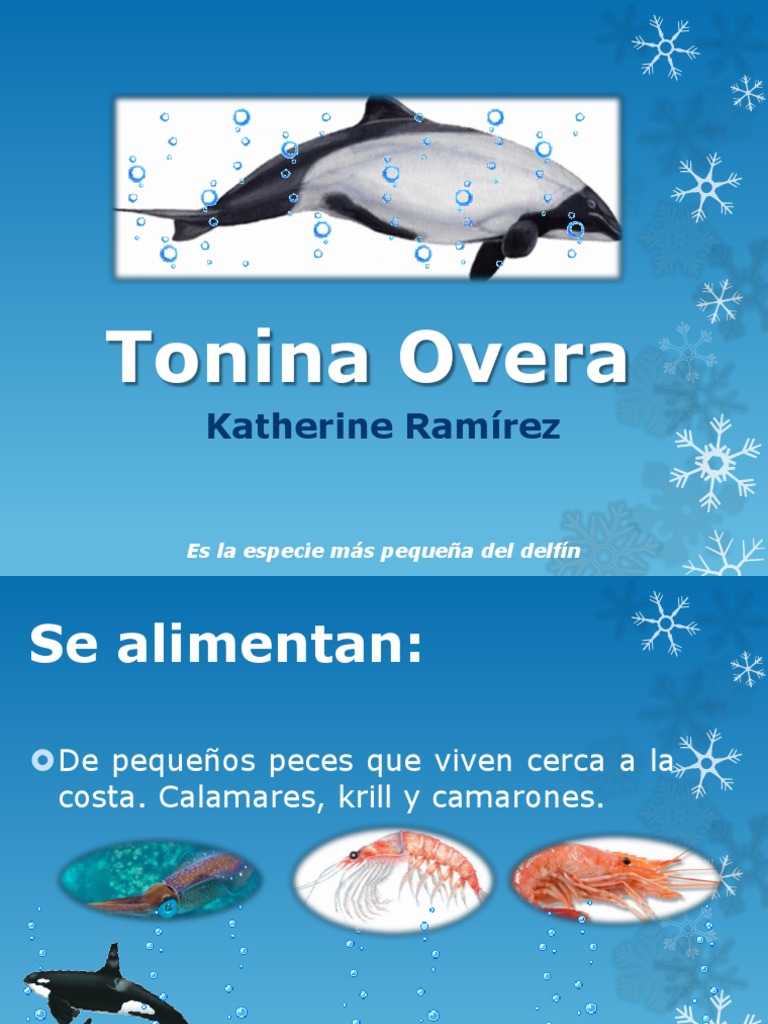 La pequeña tonina overa: características clave y amenazas a su ...