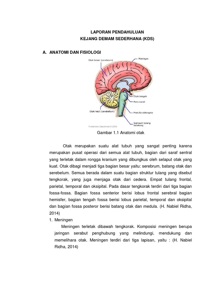LP KDS Revisi | PDF
