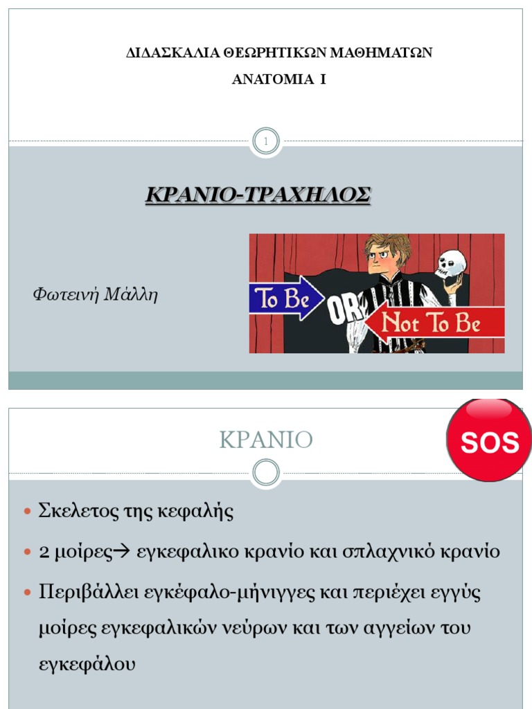 Anatomia i Κρανιο-τραχηλοσ Eclass | PDF
