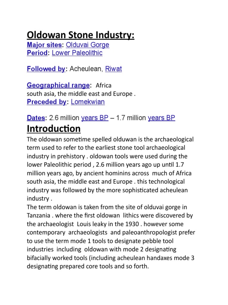 Oldowan Stone Industry | PDF | Paleolithic | Archaeology