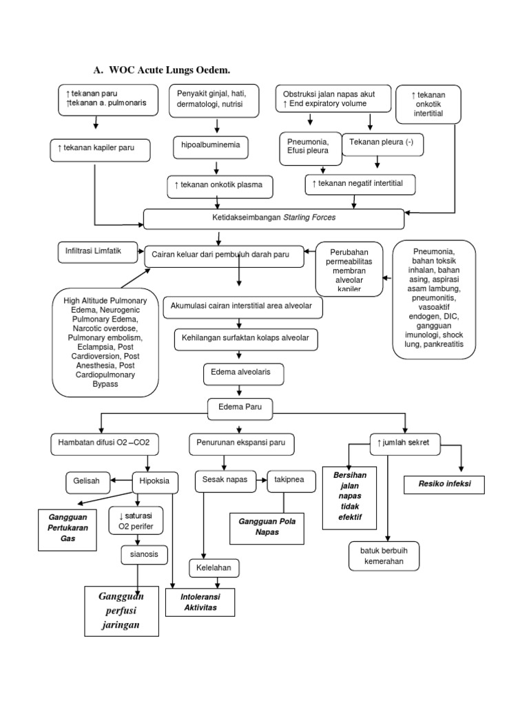 A. WOC Acute Lungs Oedem.: Gangguan Perfusi Jaringan | PDF | Respiration | Lung