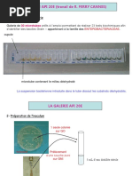 GALERIE API 20E Ensemencement Lecture Et Interprétation | PDF ...