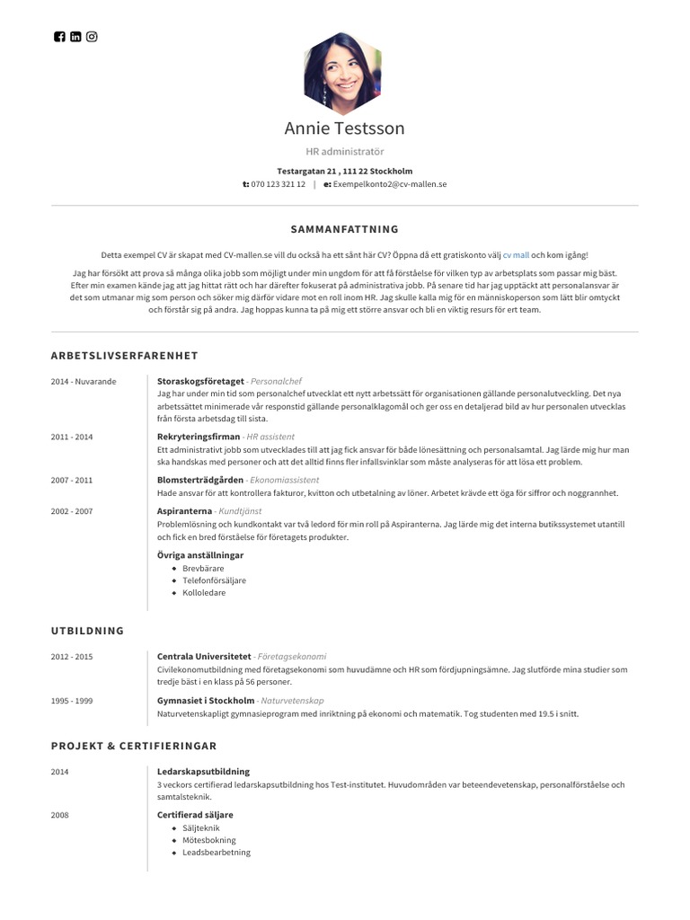 Annie Testsson CV Vinterdag 2 | PDF