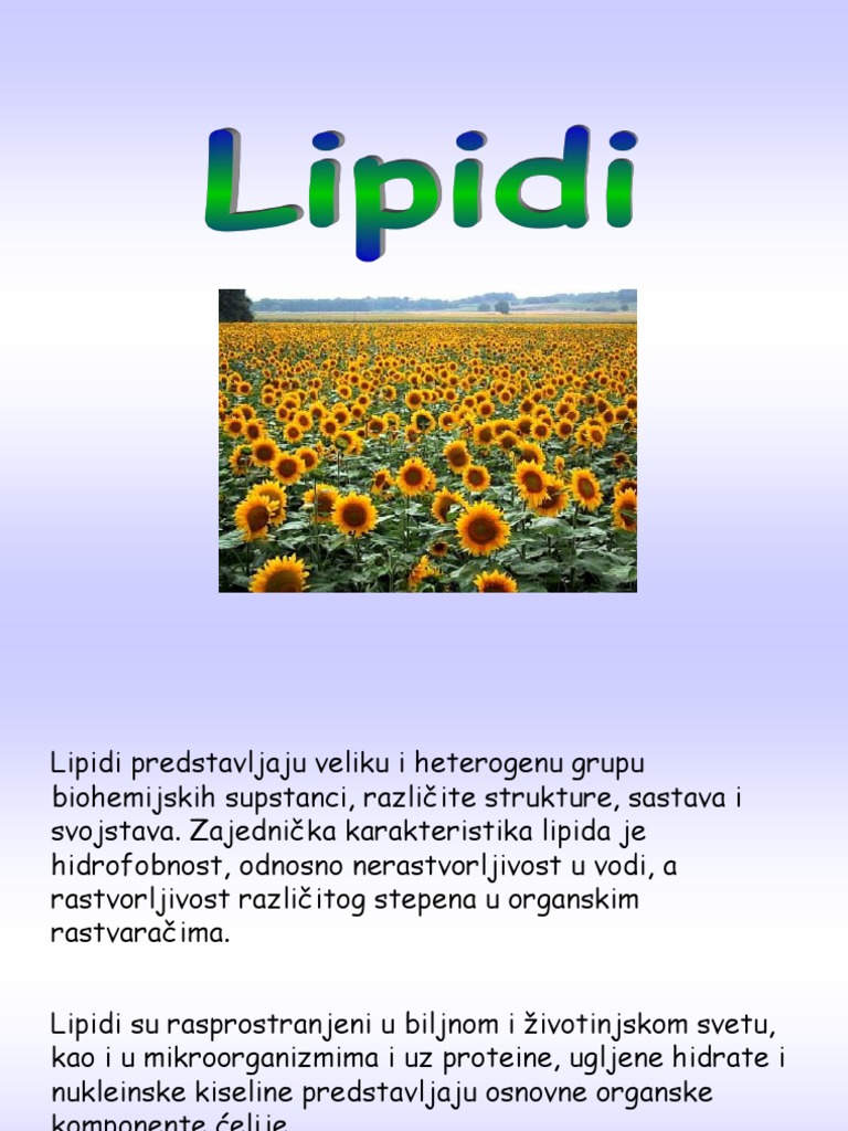 Lipidi | PDF