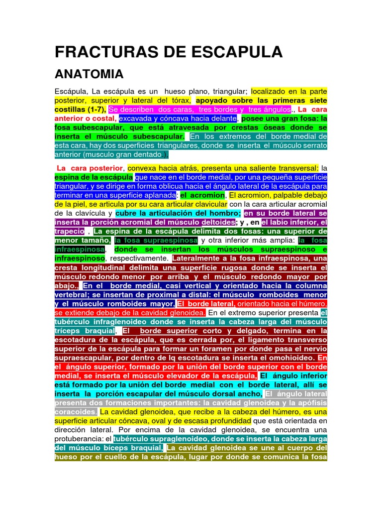 Fracturas de Escápula: Clasificación y Tratamiento | PDF | Hombro ...