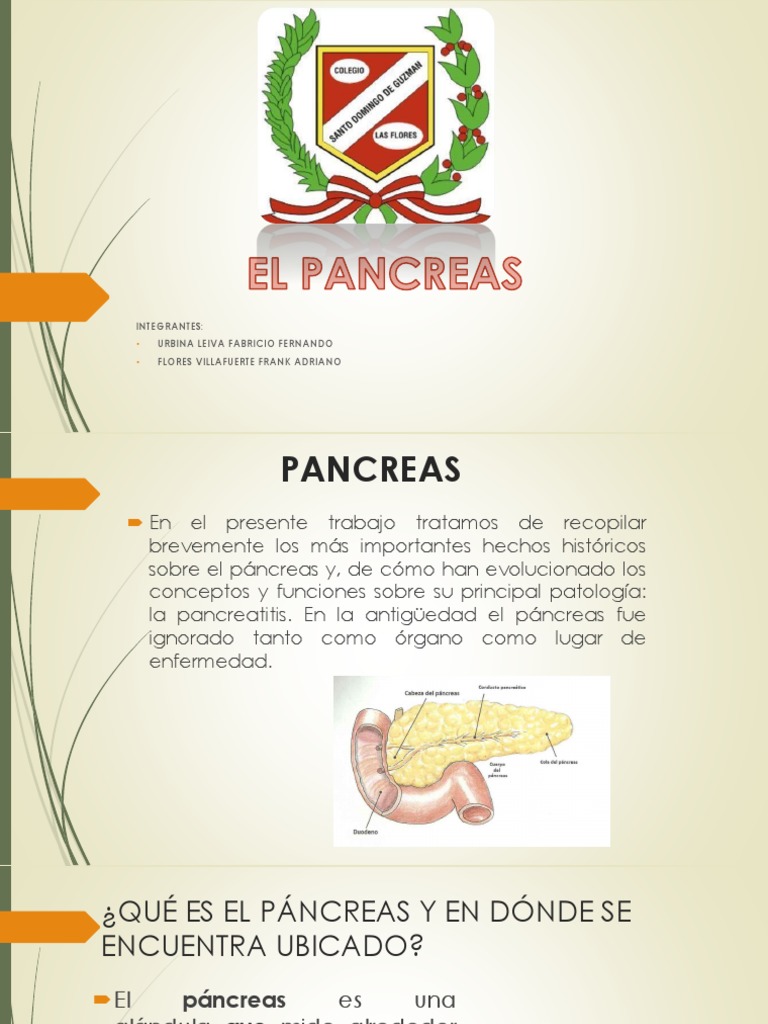 El Pancreas | PDF | Páncreas | Digestión