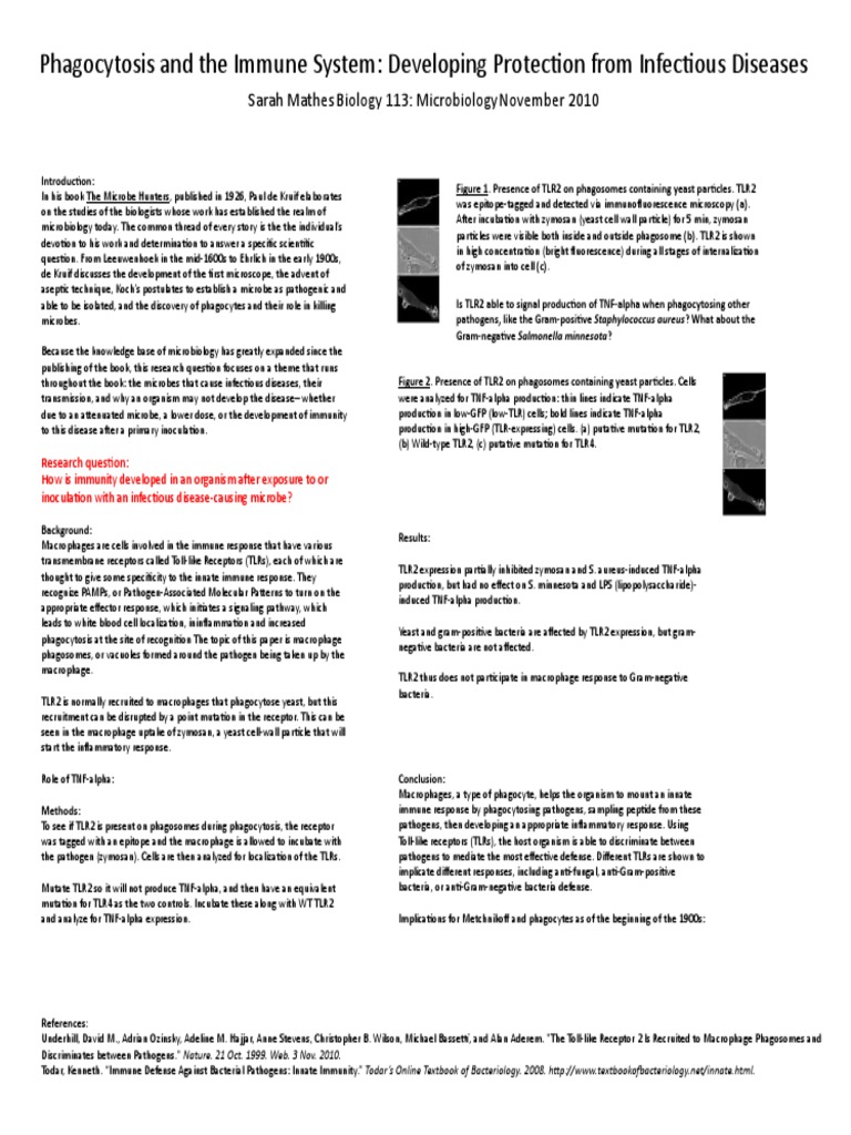Immunity Book Poster | Download Free PDF | Immune System | Macrophage