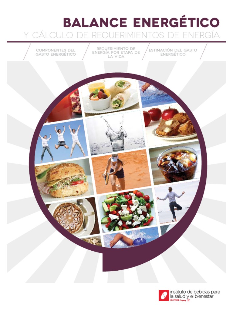 Balance Energético y Cálculo de Requerimientos de Energía, 2013 | PDF ...