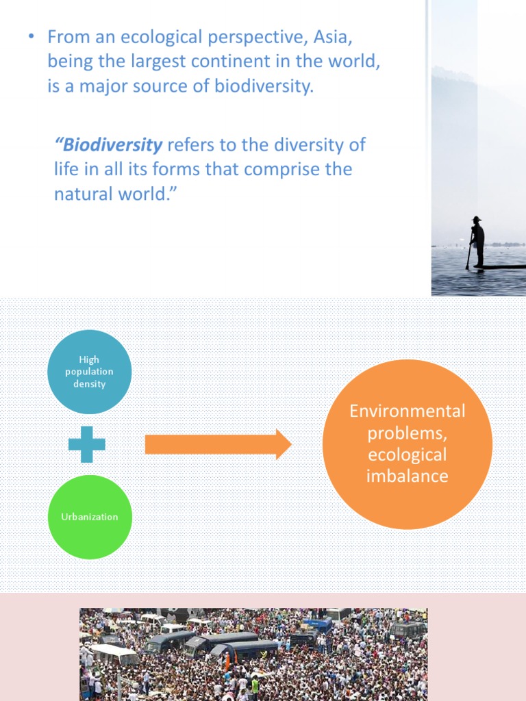 Environmental Problems and Ecological Balance in Asia | PDF | Soil ...