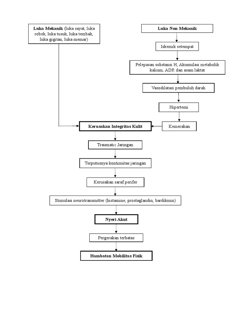 Pathway Kerusakan Integritas Kulit