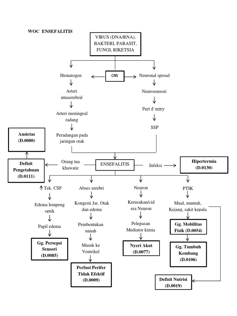 Woc Ensefalitis | PDF