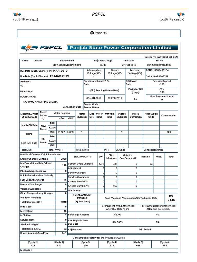 PSPCL Bill 3002405104 Due On 2019-MAR-14 | PDF | Services (Economics ...