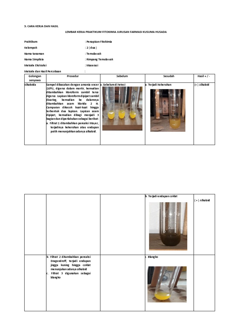 Lembar Kerja Praktikum Fitokimia Jurusan Farmasi Kusuma Husada | PDF