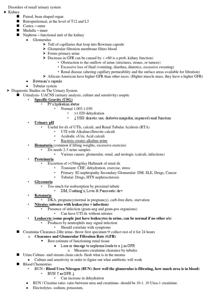 313 - Disorders of Renal and Urinary Systems | PDF | Urinary Tract ...