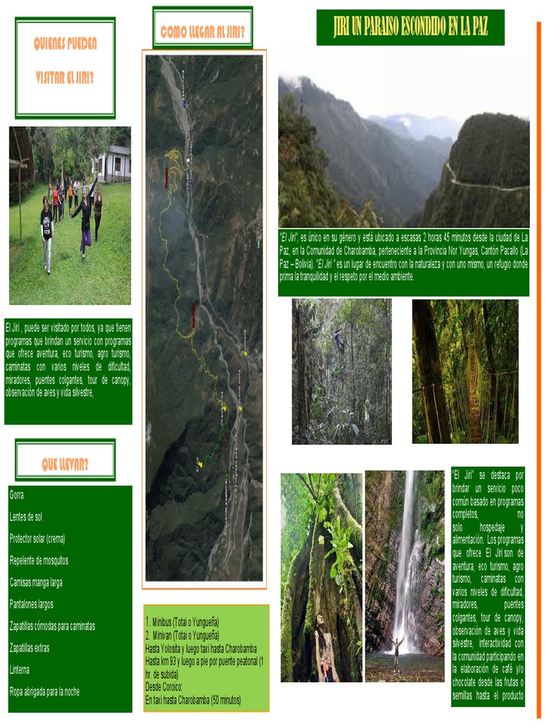 Ale Diptico | PDF | Naturaleza