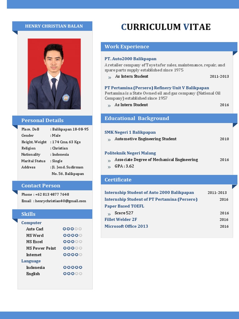 Henry Christian Balan CV Summary | PDF