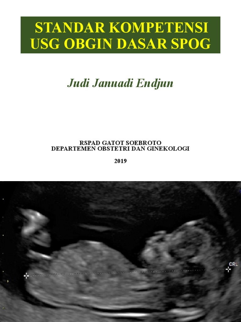 RSPAD OBGIN 2019, USG, Standar Gambar Untuk Serkom SpOG, 20190518 | PDF