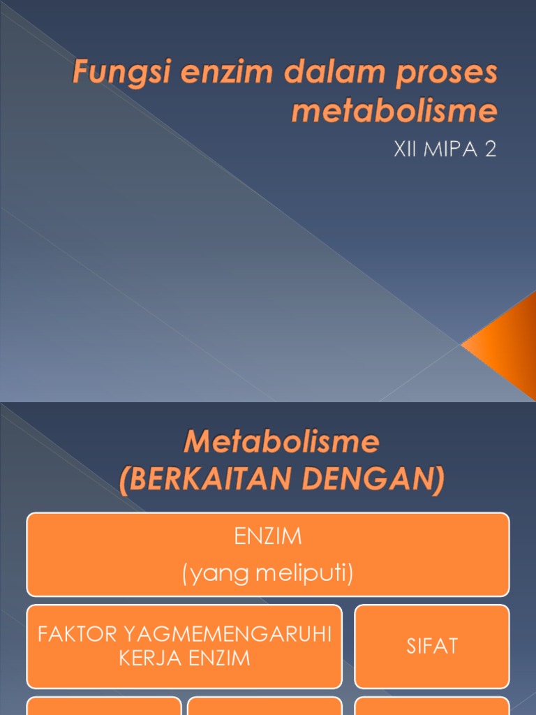 Fungsi Enzim Dalam Proses Metabolisme | PDF
