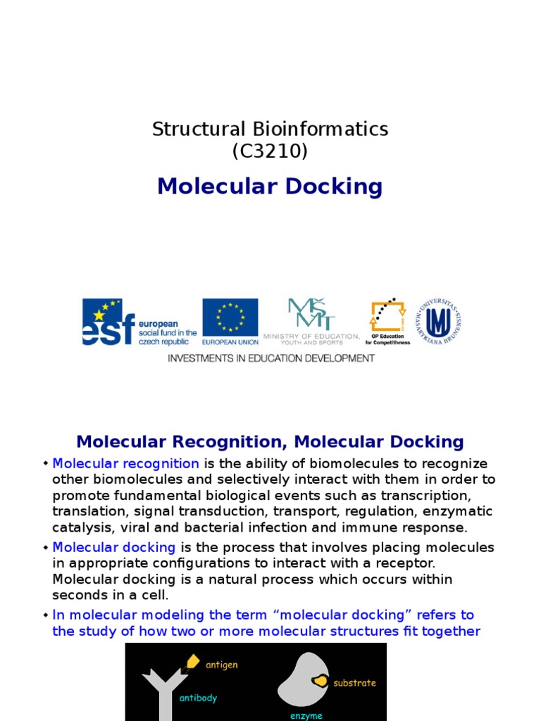 Molecular Docking: Structural Bioinformatics (C3210) | PDF | Docking ...