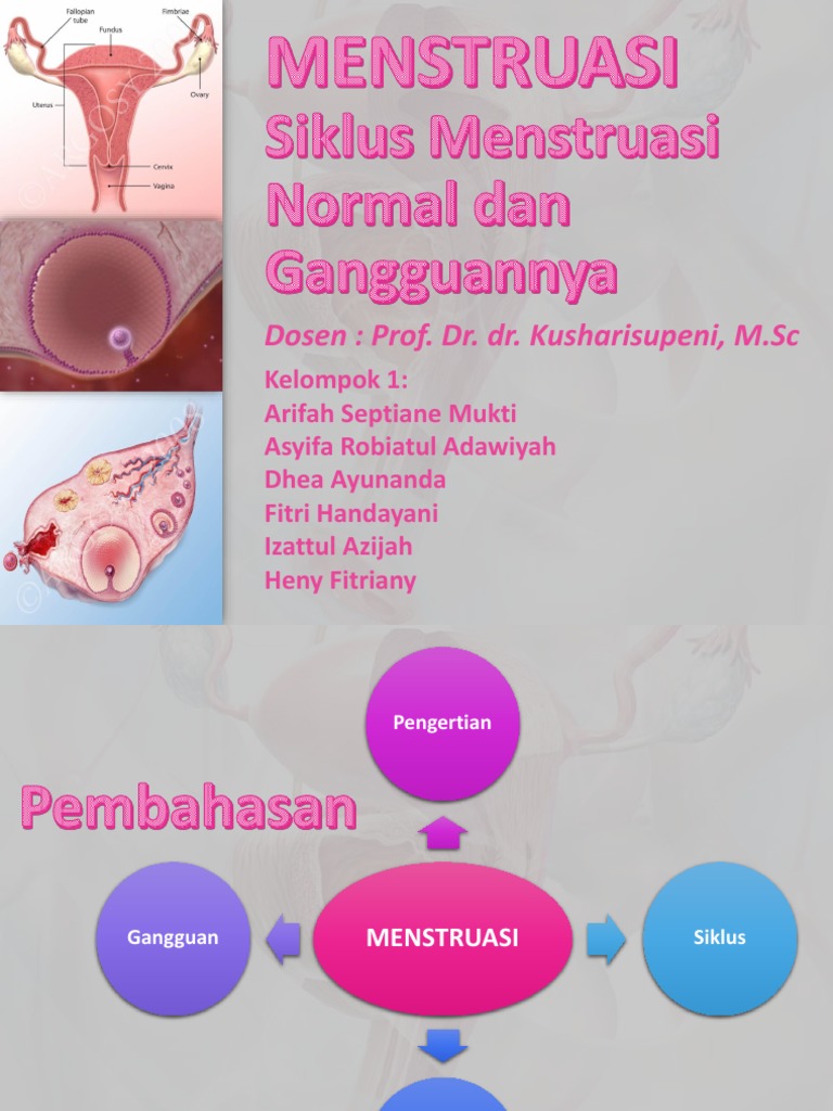 Siklus Menstruasi | PDF