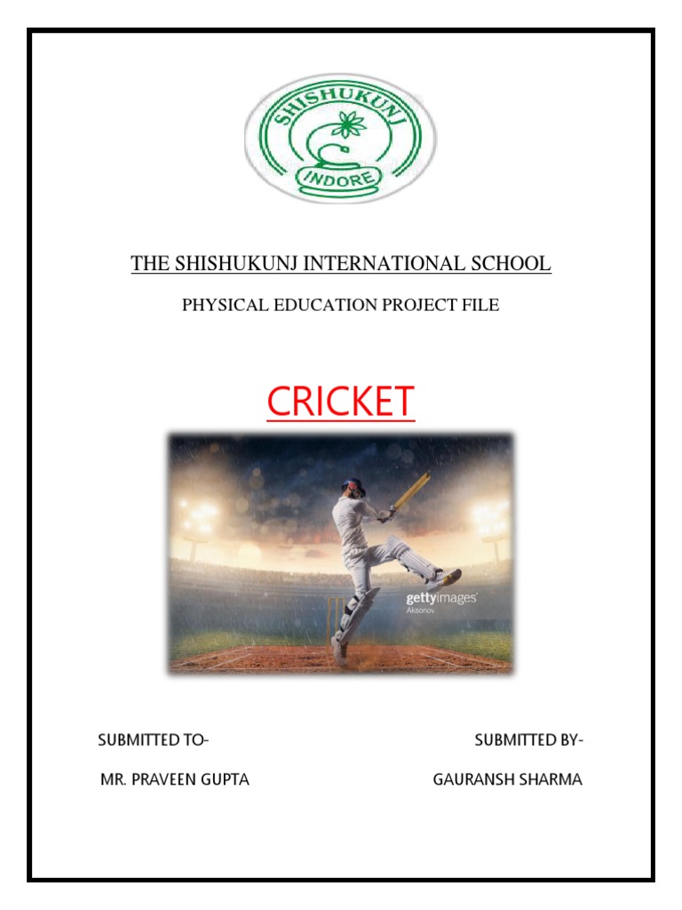 Pe File | PDF | Cricket | Ball And Bat Games