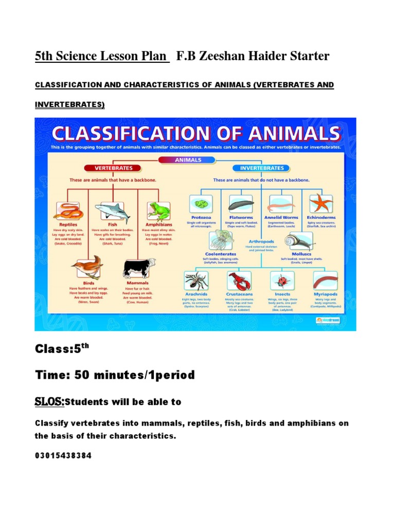 Vertebrates and Invertebrates | PDF | Vertebrates | Amphibian