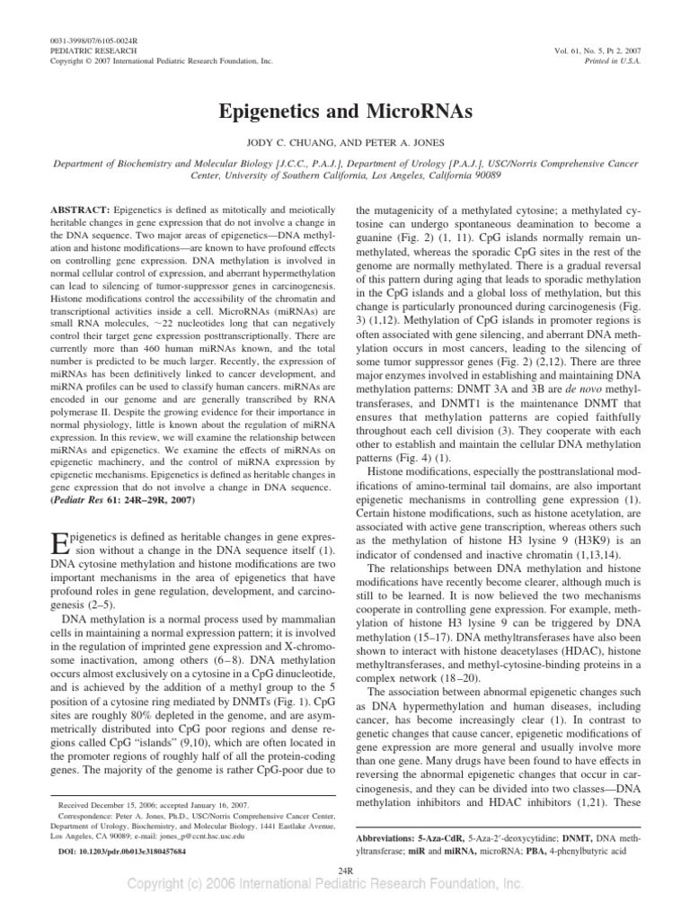 Epigenetics and MicroRNAs.5 | PDF | Micro Rna | Dna Methylation