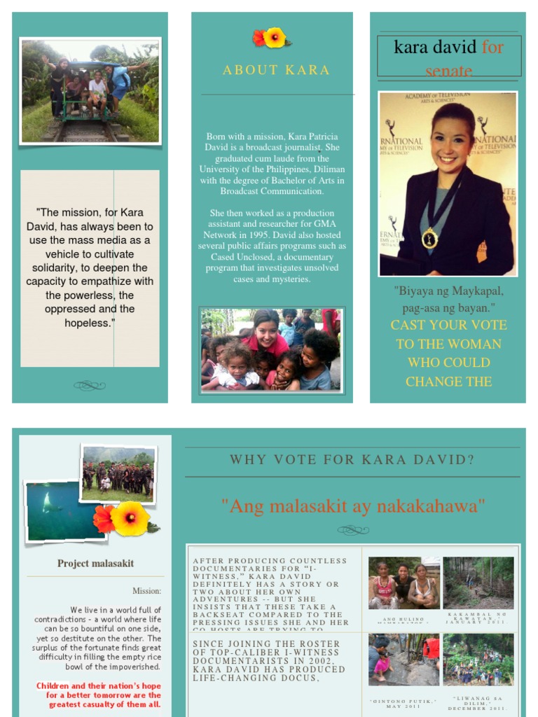 Kara David: For Senate | PDF | Leisure