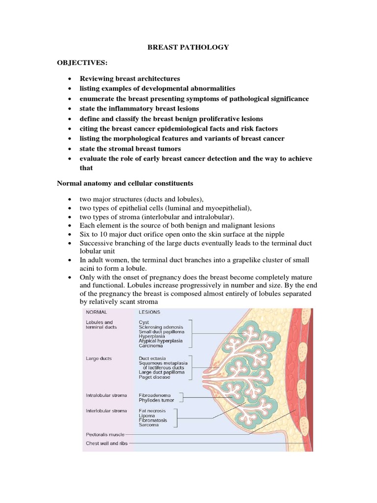 Breast Pathology for Medical Professionals | PDF | Carcinoma | Breast ...