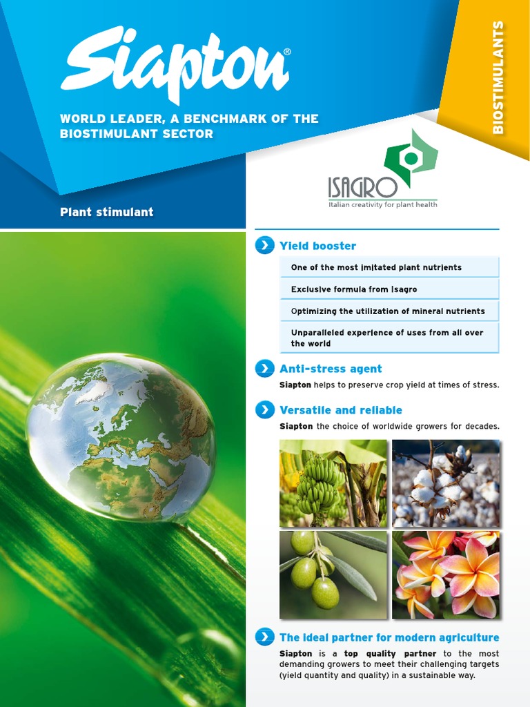 Boosting Crop Yields Through Stress Resistance and Nutrient Absorption ...
