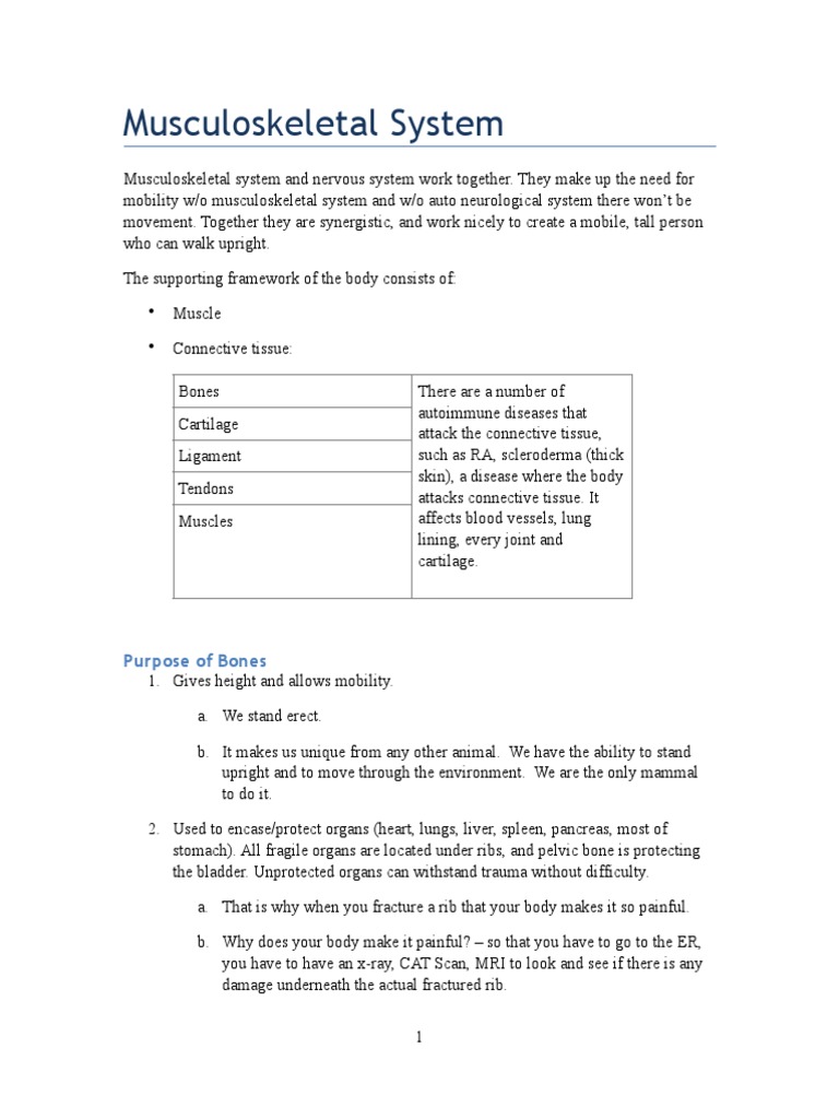 Musculoskeletal System Notes | PDF | Anatomical Terms Of Motion | Human ...