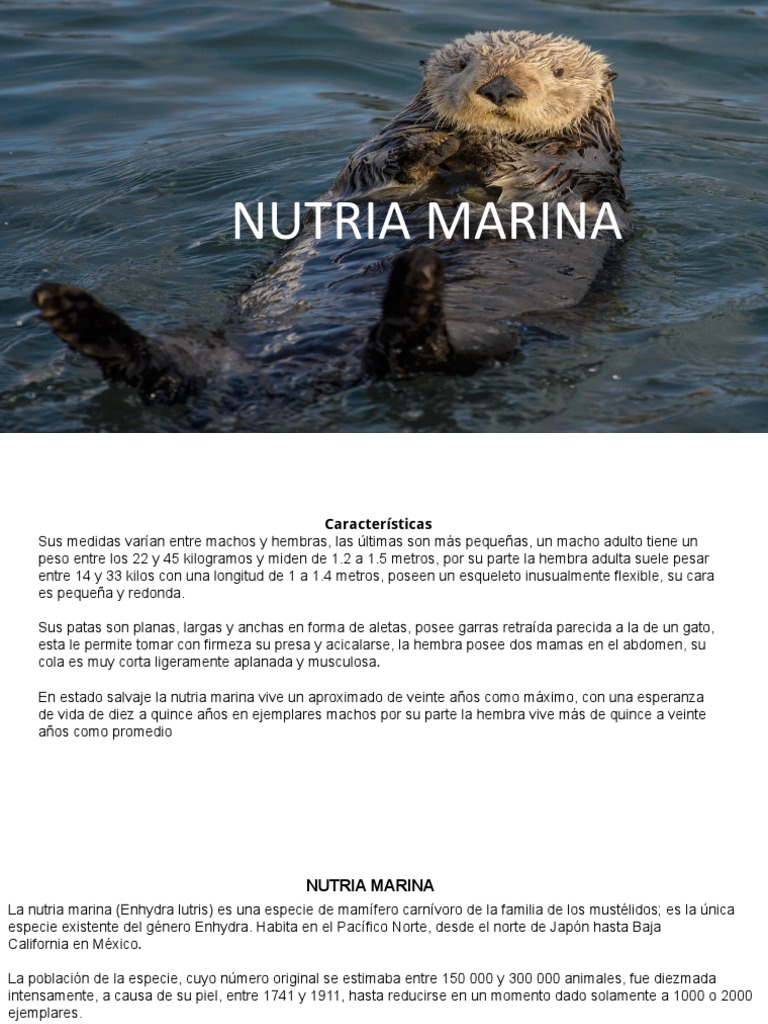 Nutria | PDF | Organismos | Naturaleza