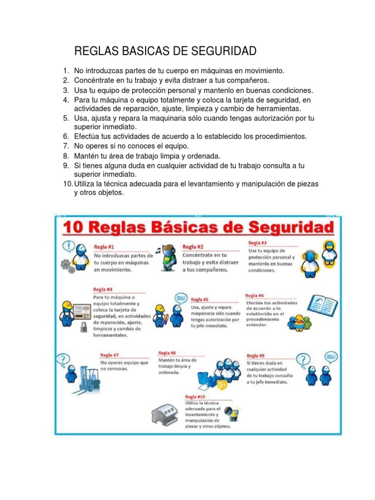 Reglas Basicas en Seguridad | PDF | Informática