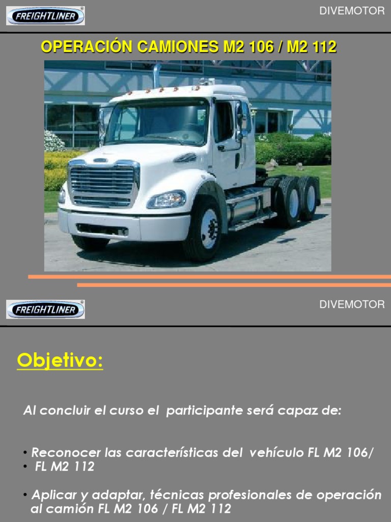 Fallas Del Display Freightliner | PDF | Acelerador | Eje