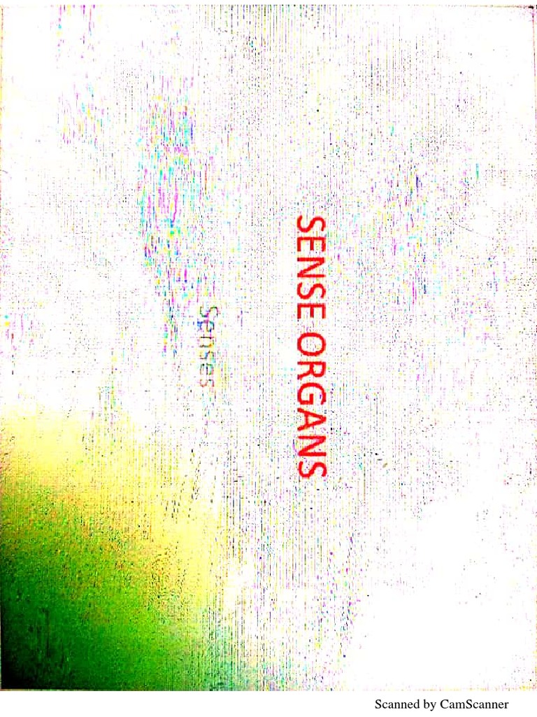 Sense Organs | PDF