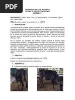 Dryopithecus | PDF | Hominidae | Homo Sapiens