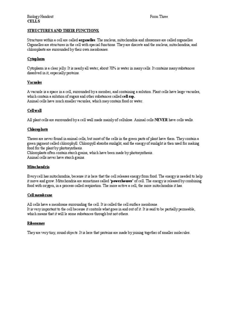 Cell Structures and Functions Explained | PDF | Chloroplast | Cell ...