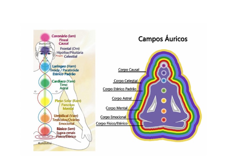 Campos Áuricos | PDF