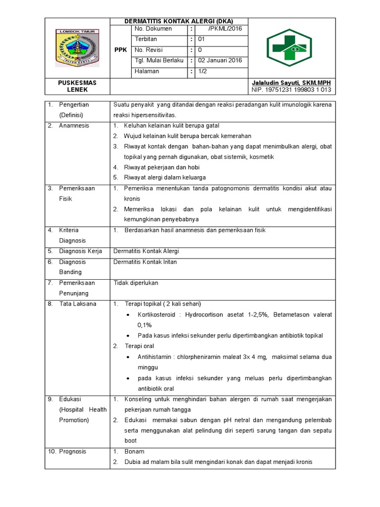 PPK Dermatitis Kontak Alergi (Dka) | PDF