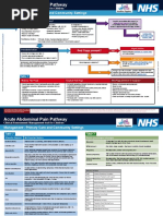 RCH Guidelines: Pediatric Abdominal Pain | PDF | Pain | Constipation