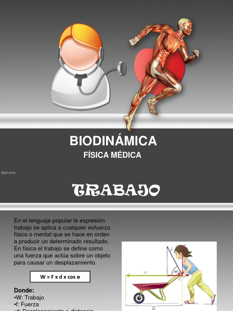 BIODINÁMICA | PDF | Contracción muscular | Músculo