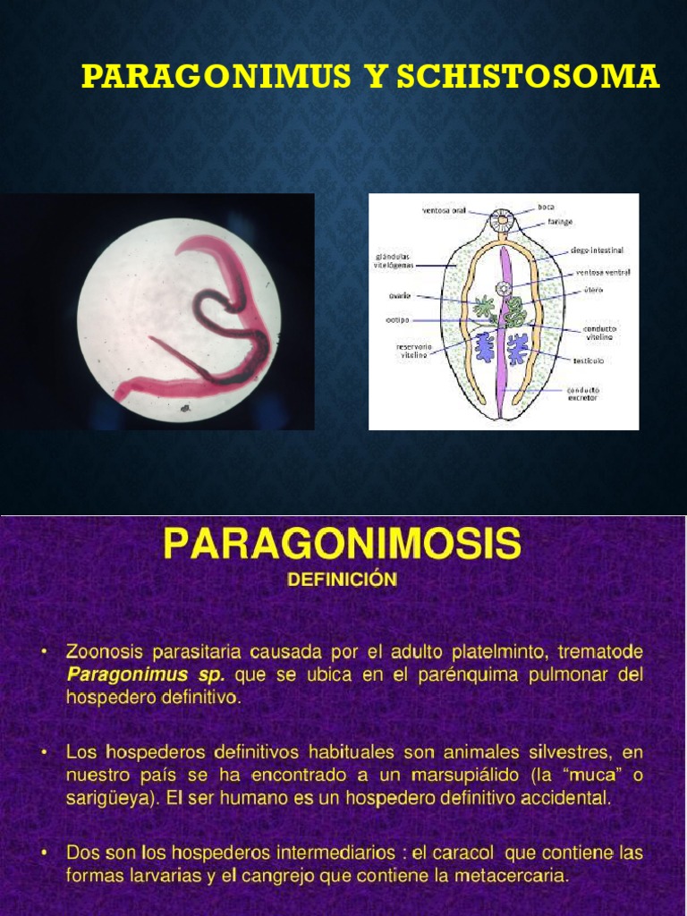 PARAGONIMUS | PDF | Especialidades Medicas | Enfermedades y trastornos
