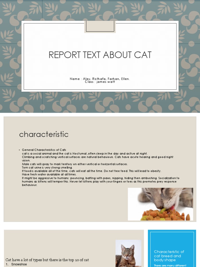 Report Text About Cat James Watt | PDF | Cats | Animals And Humans