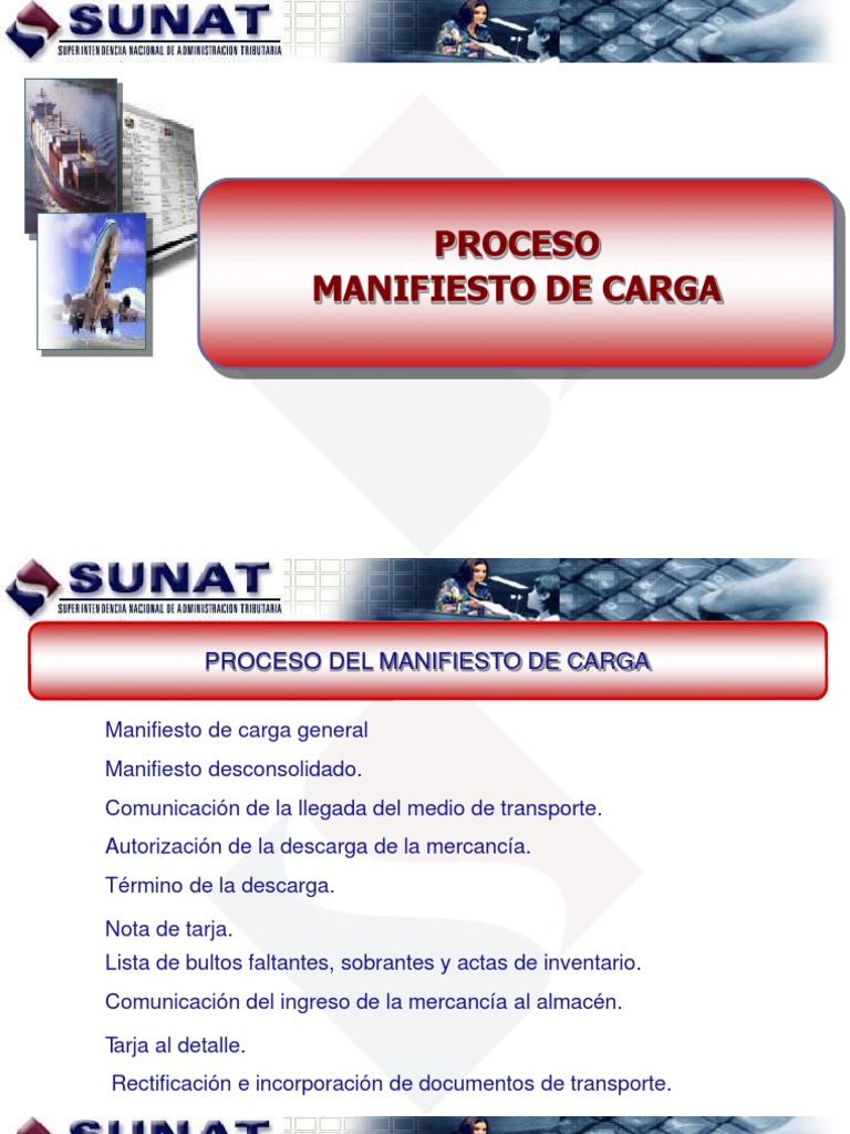 3.-Manifiesto de Carga | PDF | aduana | Chile