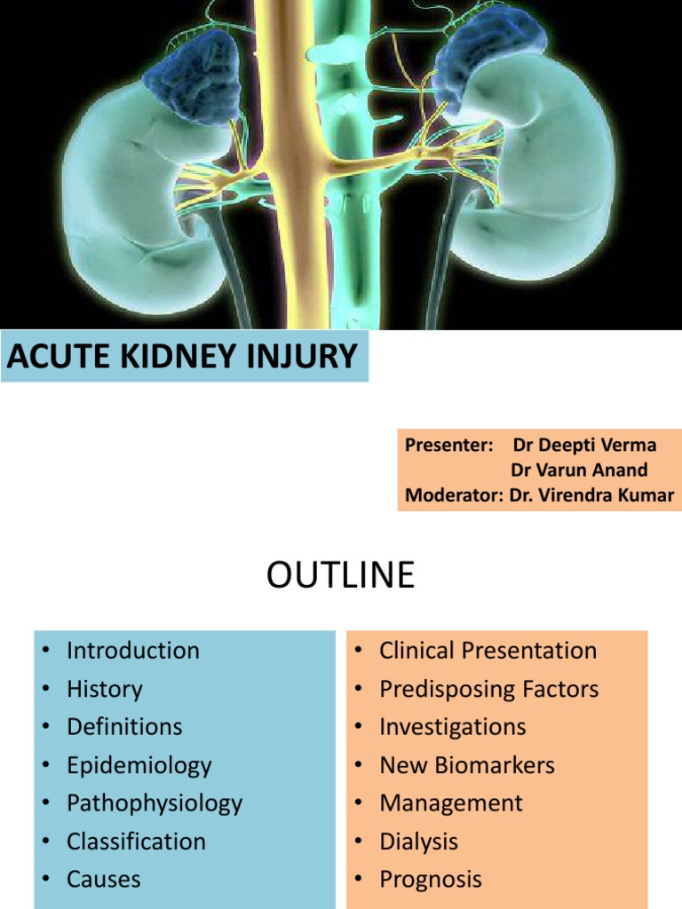 Acute Kidney Injury | PDF | Renal Function | Creatinine