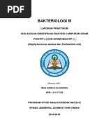 Uji Sensitivitas Antibiotik | PDF