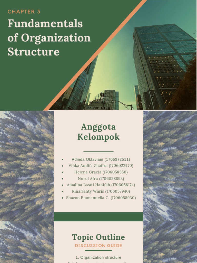 Fundamentals of Organization Structure | PDF