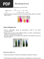 Biochemical Tests For Staph-Strep - Output | PDF | Staphylococcus ...
