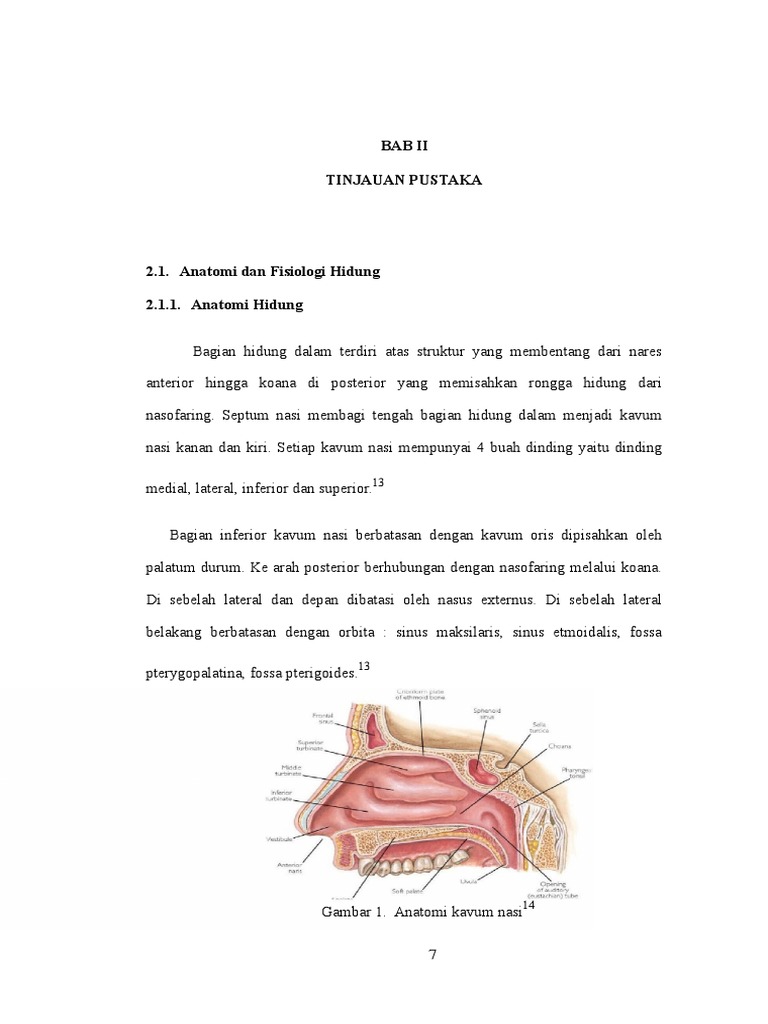 Anatomi dan Fisiologi Hidung | PDF
